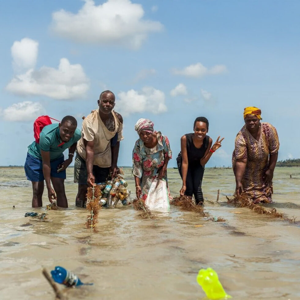 Healthy Seaweed Café Tanzania - Mustardseed Trust